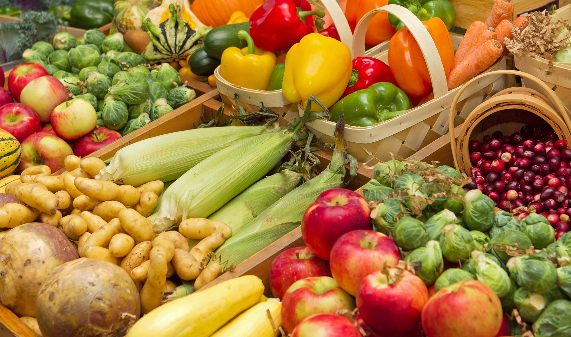 Bulk Fruits & Vegetables | Los Angeles